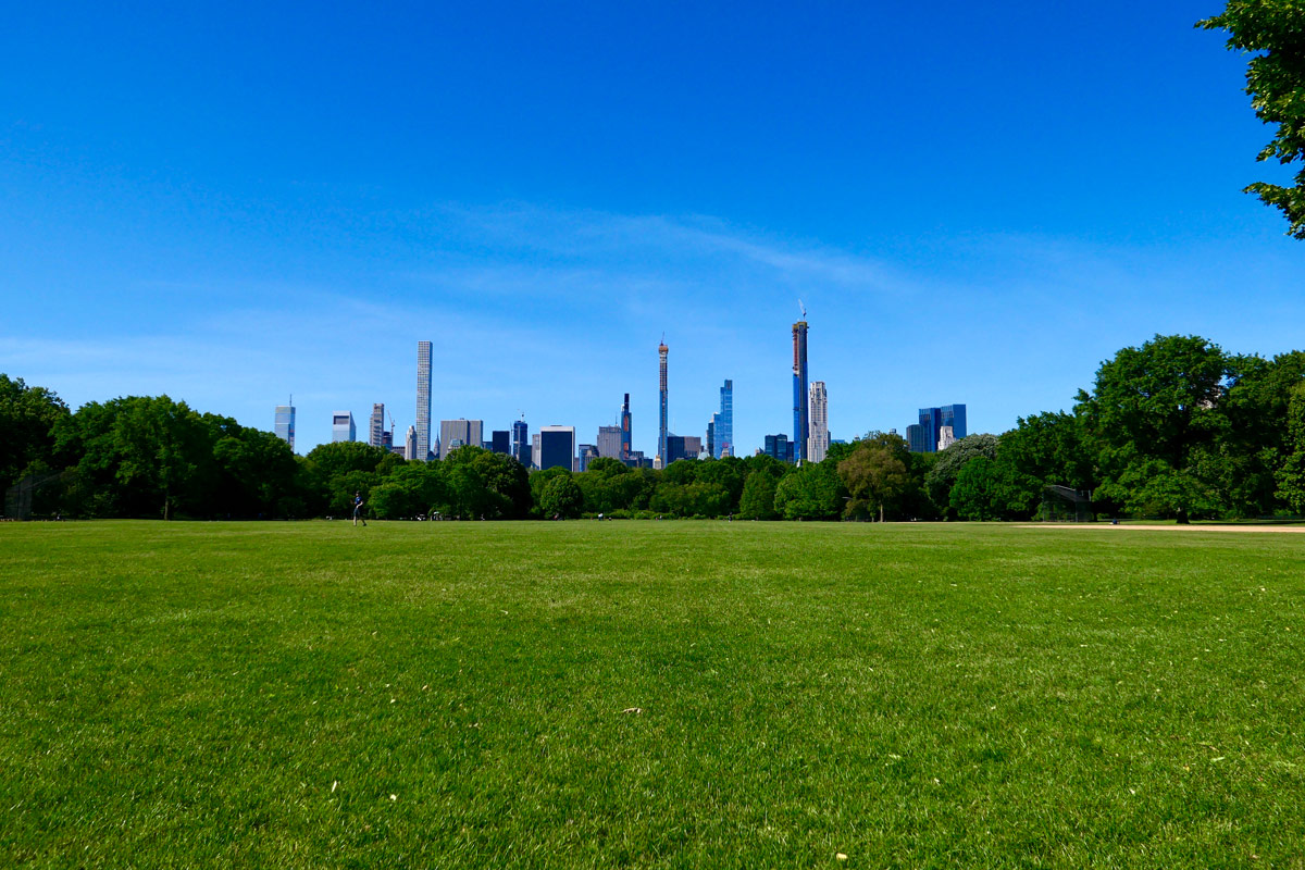 Real life in the city | New York Social Diary