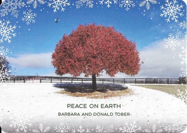 Our annual Christmas/Holiday cards are here again! | New York Social Diary