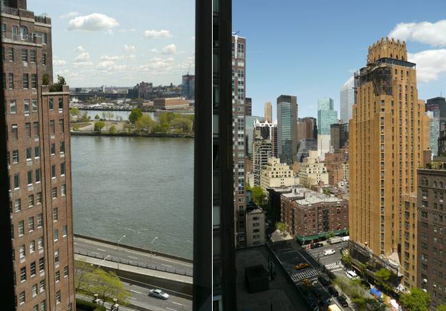 David Scott | New York Social Diary