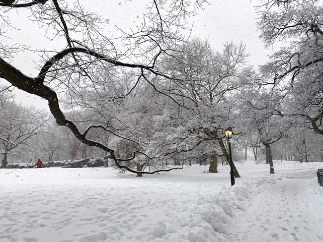 Anatomy of a snow storm | New York Social Diary
