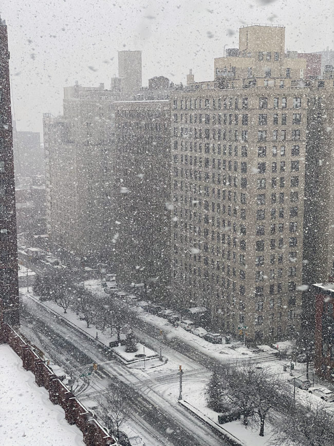 Anatomy of a snow storm | New York Social Diary