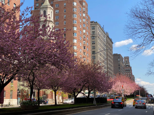 The “power” people | New York Social Diary