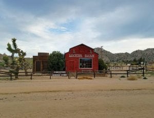 Fooling Around in Palm Springs | New York Social Diary