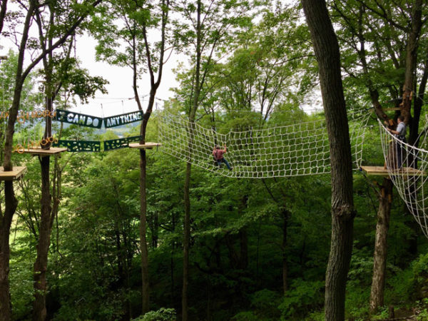 The Legacy of Root Farm | New York Social Diary