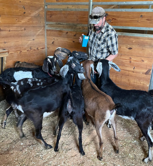 The Legacy of Root Farm | New York Social Diary