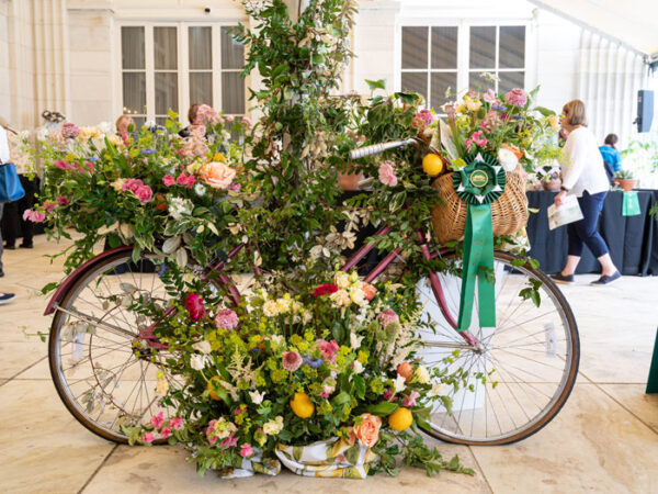 Still drawing the crowds | New York Social Diary