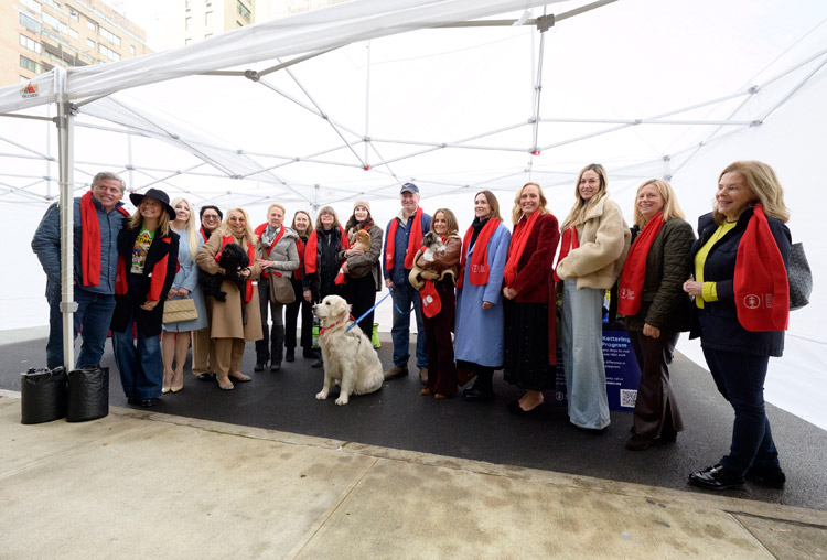 Miracle on Madison Avenue | New York Social Diary