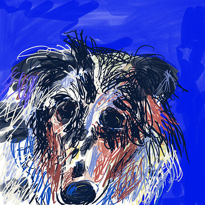 Mar, the Master, and (Wo)man's Best Friend | New York Social Diary