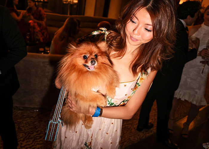 The Sounds of Spring | New York Social Diary