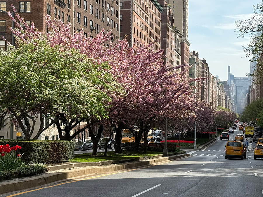 Ushering in the spring season | New York Social Diary