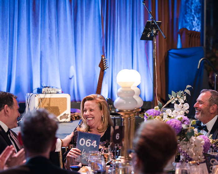 La Dolce Vita — Spring Gala Celebration to Benefit Lenox Hill ...