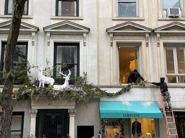 The Day the Snow Fell and the Door Opened | New York Social Diary